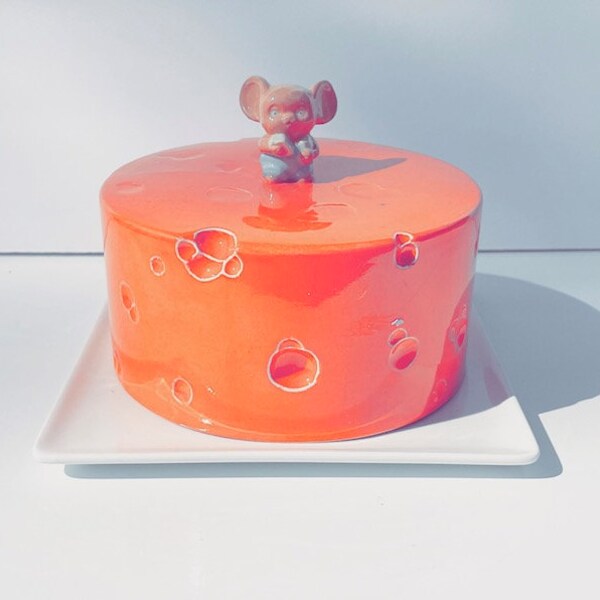 Cheese Dome - Etsy Australia