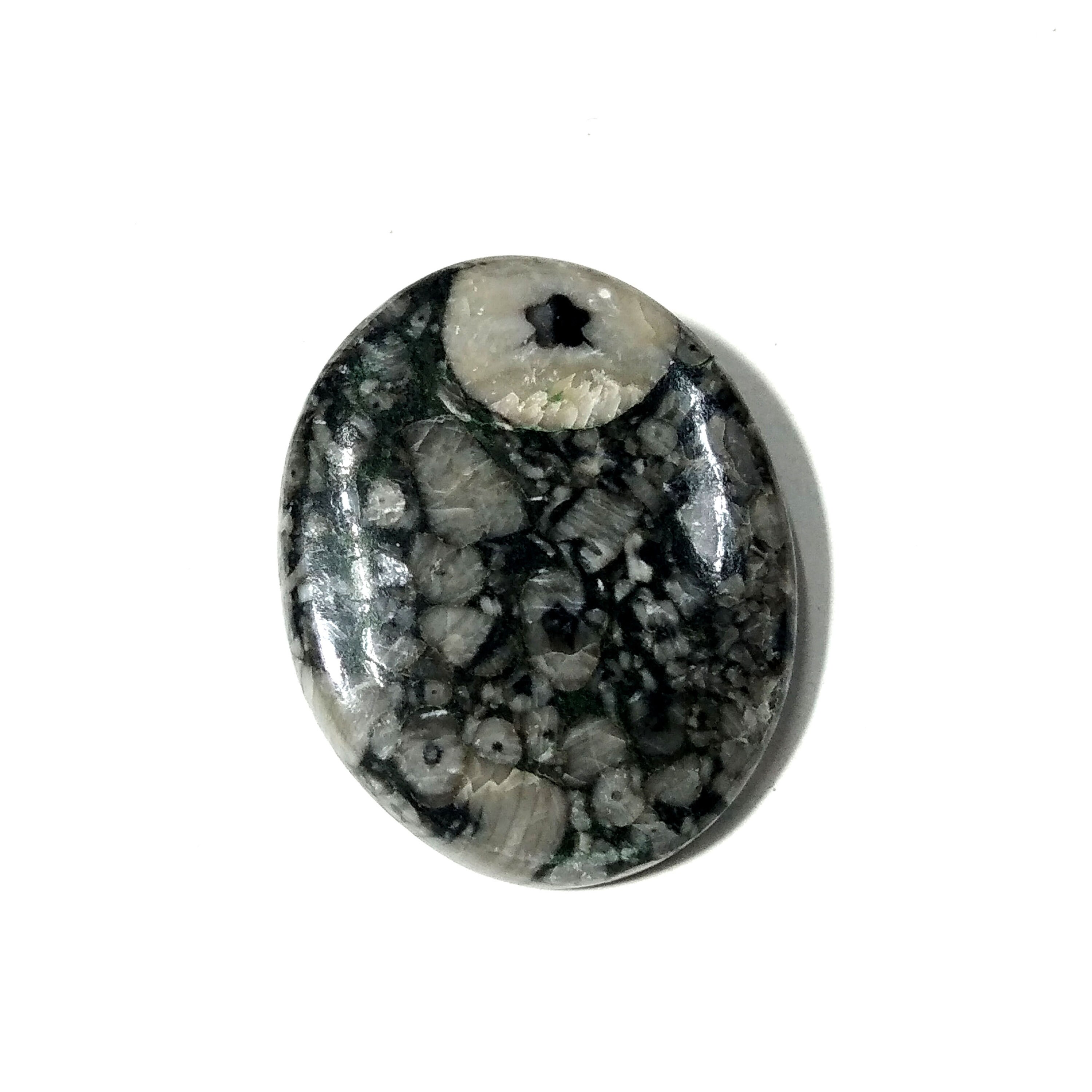 Fine Quality Natural Crinoid Fossil Cabochon Gemstone Wholesale Loose ...