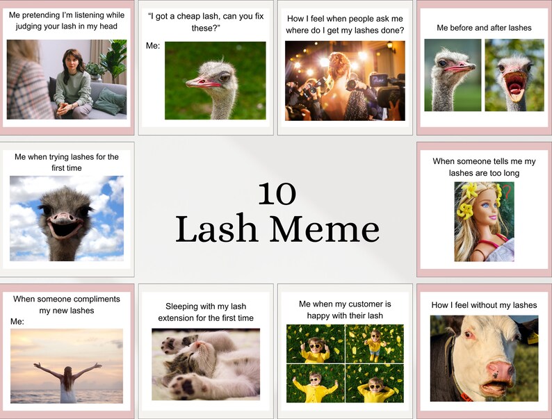 10 Funny Hilarious Beauty Lash Tech Meme Templates for Instagram Story ...
