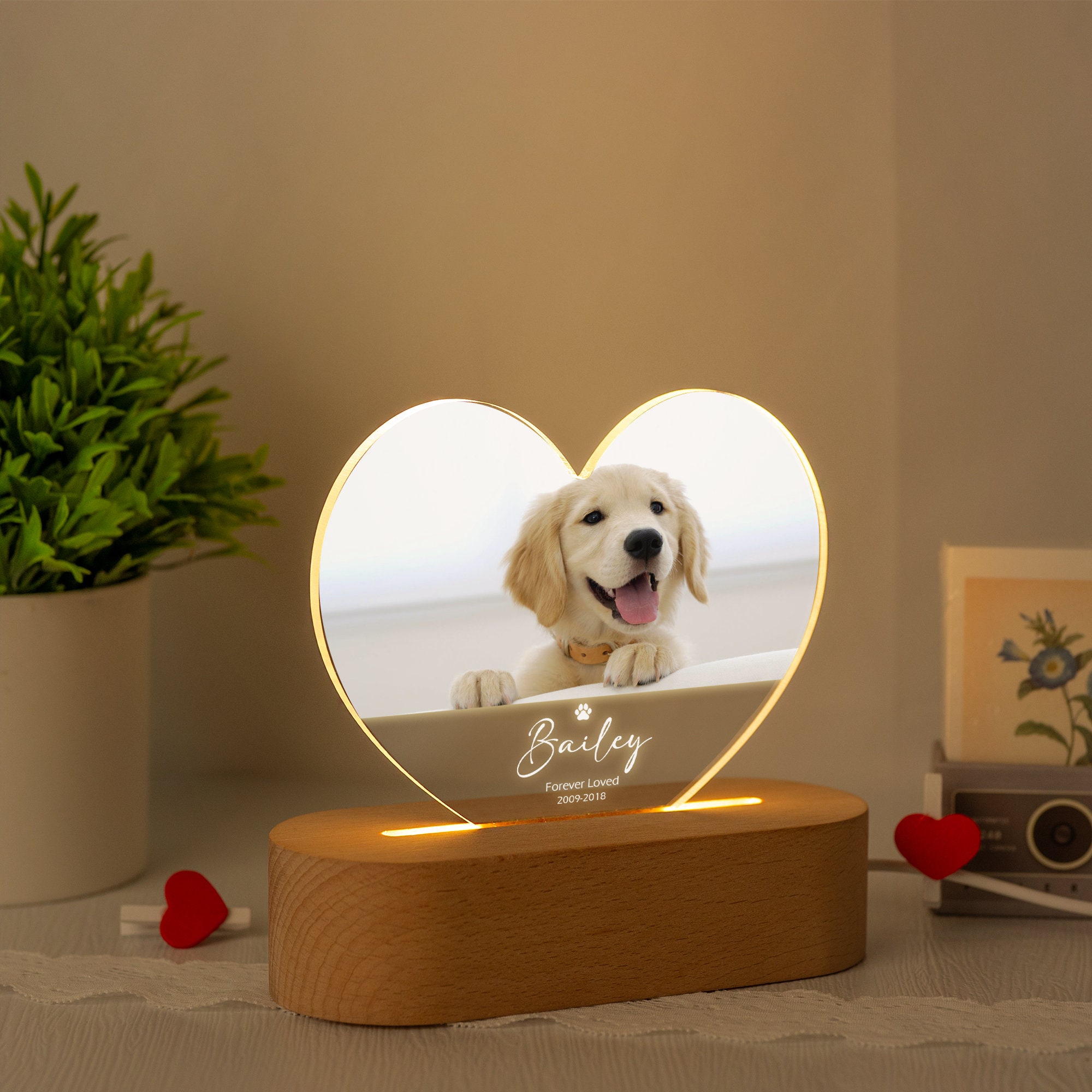 Custom Pet Memorial Night Light,dog Photo Night Lamp,dog Cat Mom Gift ...