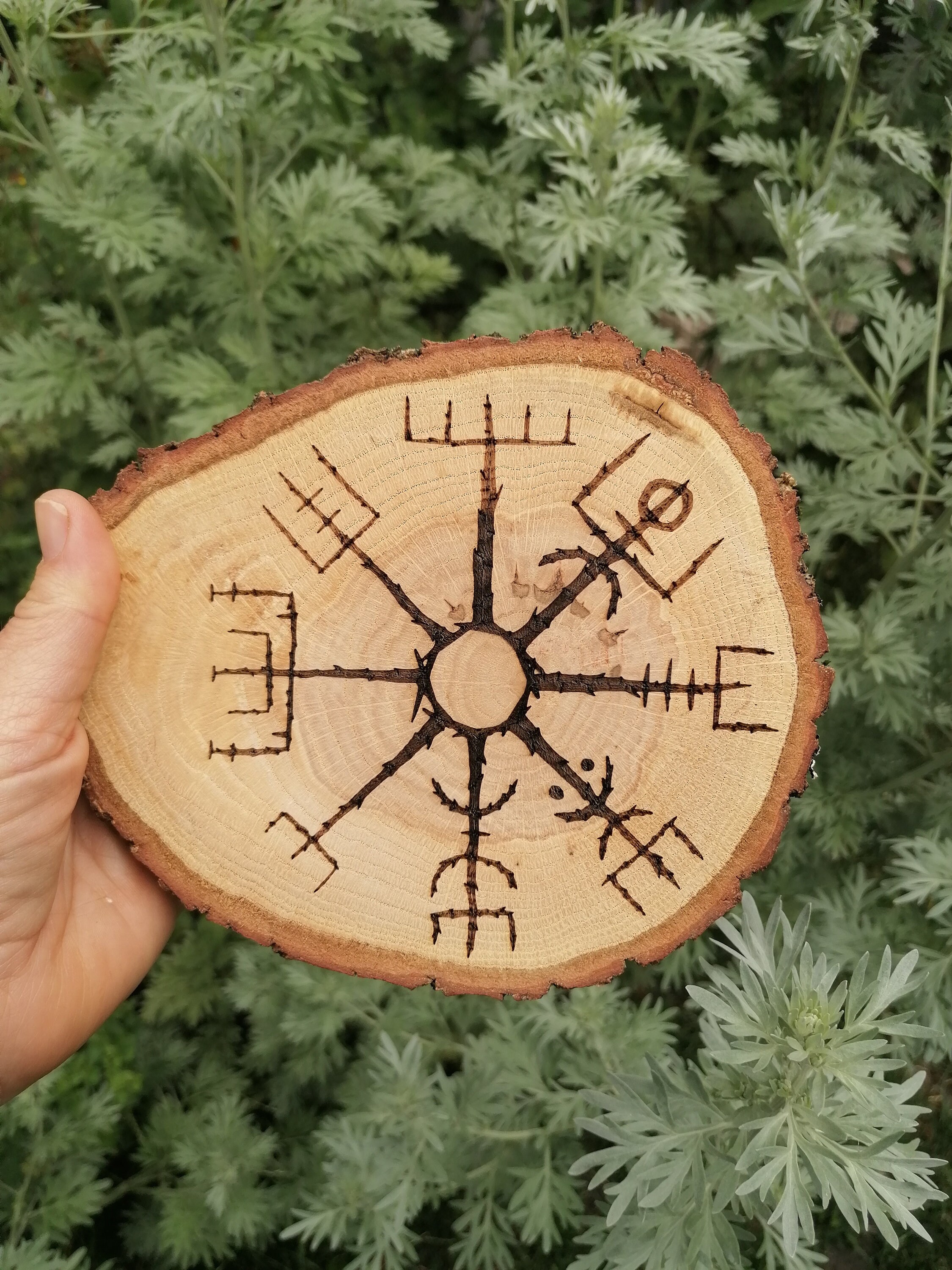 Vegvisir Futhark Runes Oak Tree Disc - Etsy