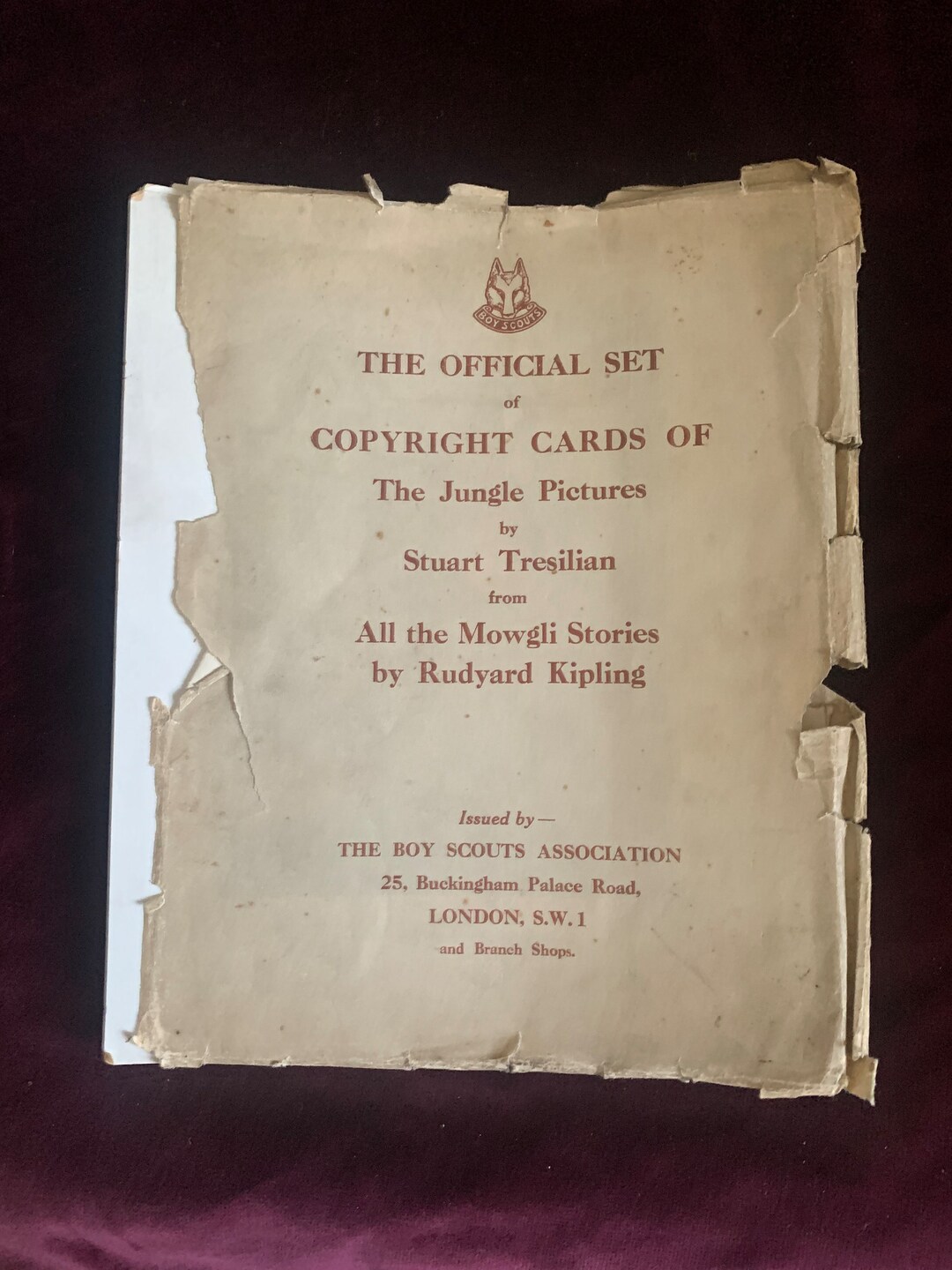 Rare Jungle Book Copyright Cards by Stuart Tresilian 1894 - Etsy