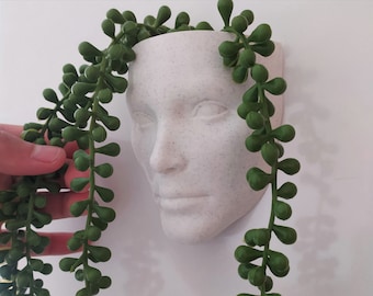 Head Wall Planter STL FILE, Stl File for 3D Printer, Plqnter Pots With ...
