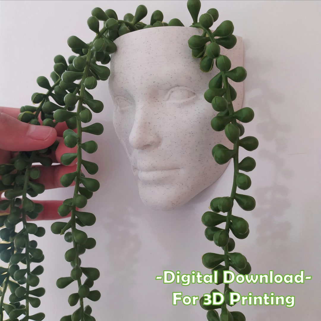 Head Planter STL FILE, Stl File for 3D Printer, Face Planter With ...