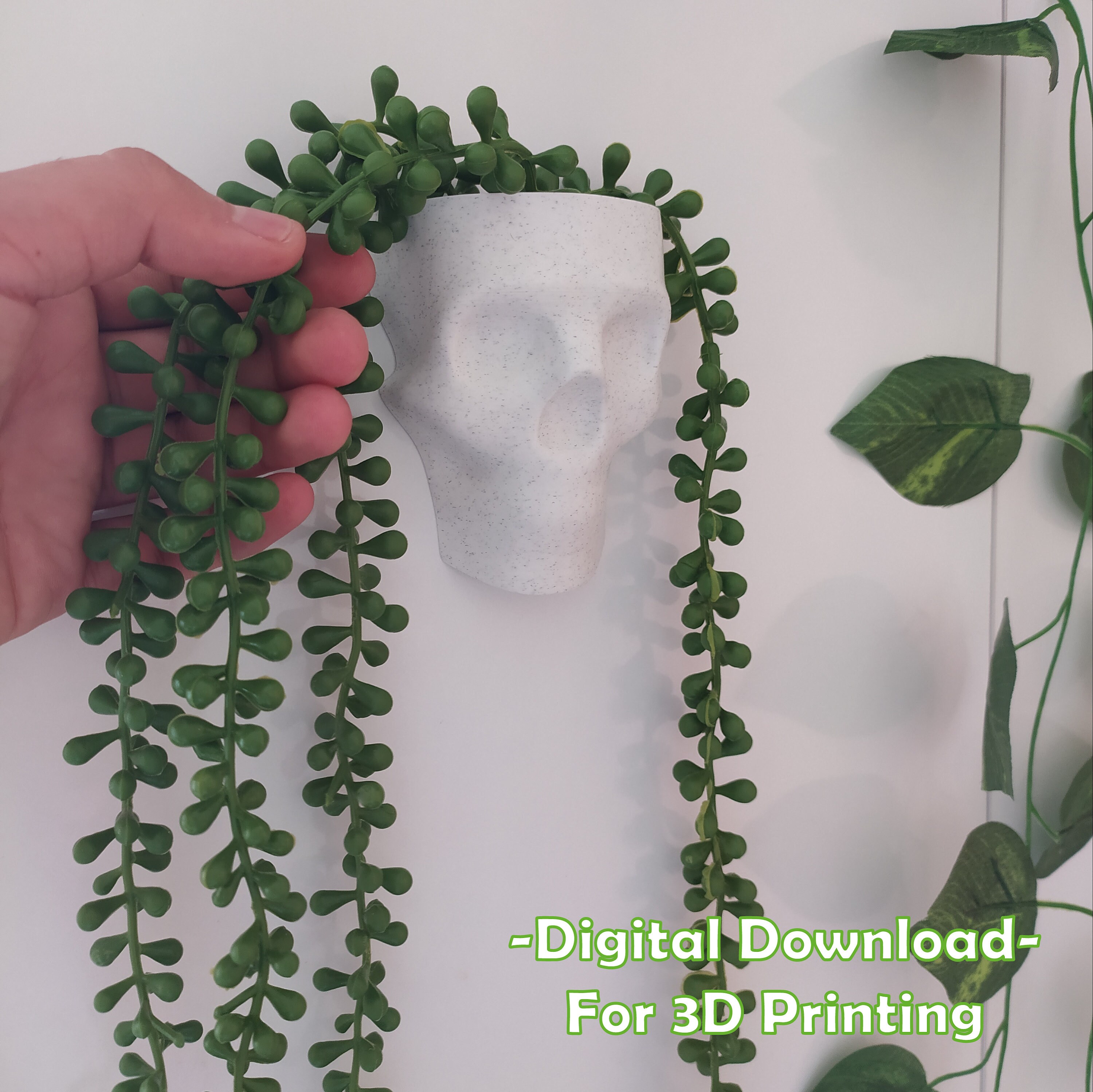 Skull Wall Planter STL FILE, Stl File for 3D Printer, Face Planter With ...