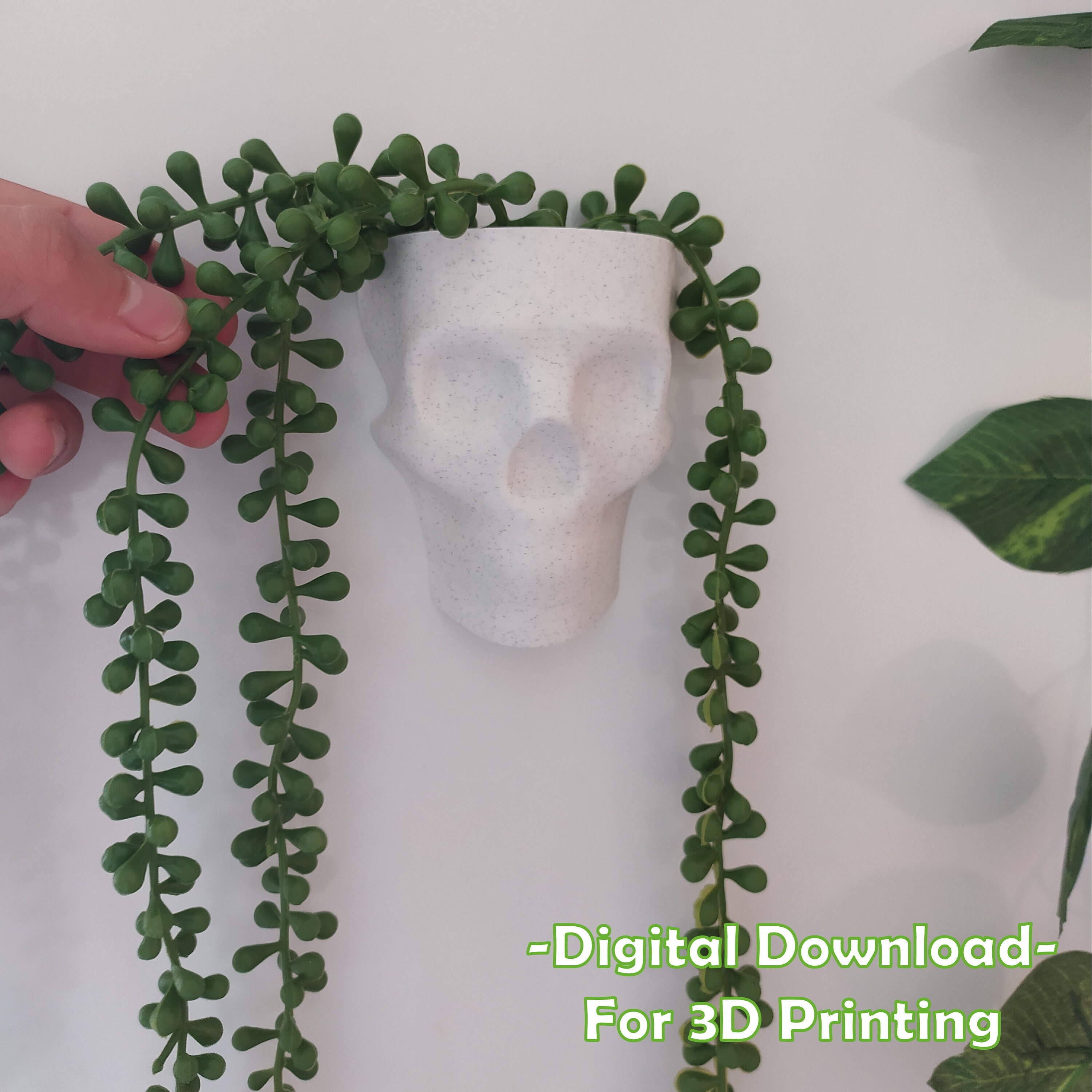 Skull Wall Planter STL FILE, Stl File for 3D Printer, Face Planter With ...