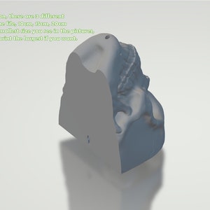 Skull Wall Planter STL FILE, Stl File for 3D Printer, Head Planter With ...