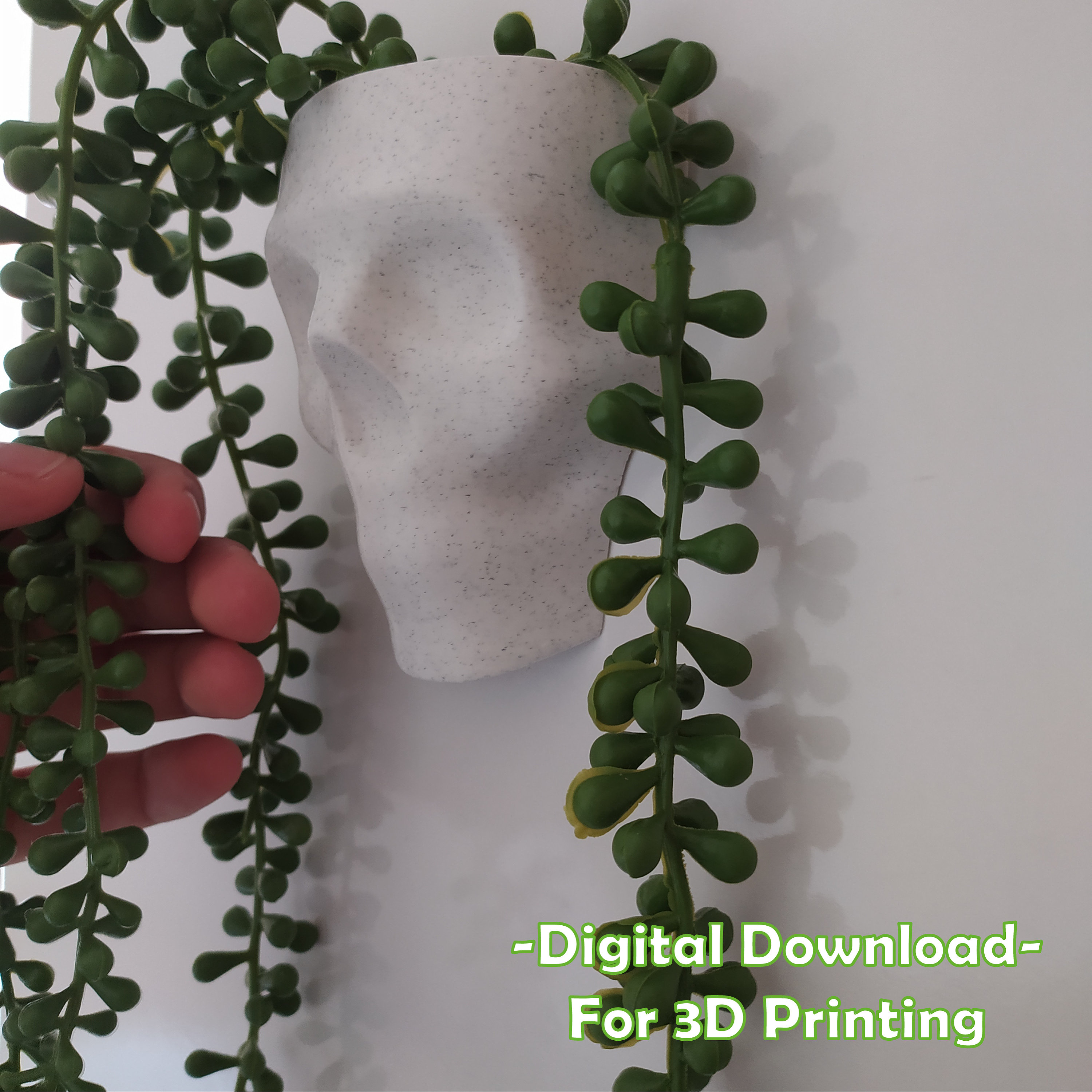 Skull Wall Planter STL FILE, Stl File for 3D Printer, Face Planter With ...