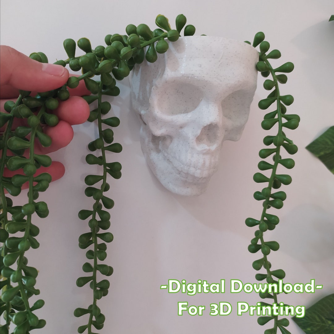 Skull Wall Planter STL FILE, Stl File for 3D Printer, Head Planter With ...