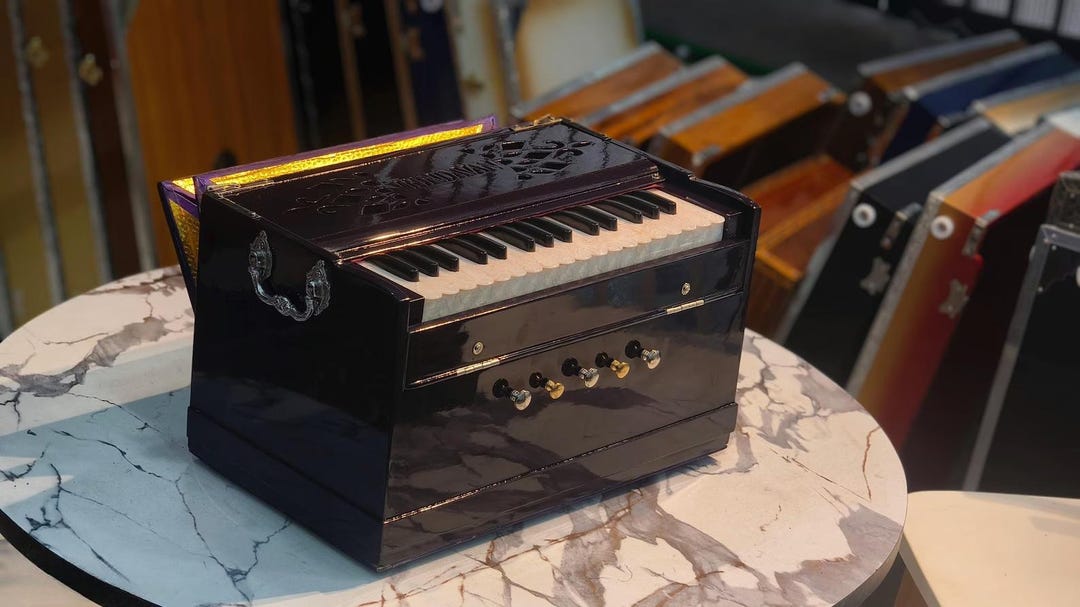 Portable 2 Line Mini Harmonium, Standing Design for Performance ...