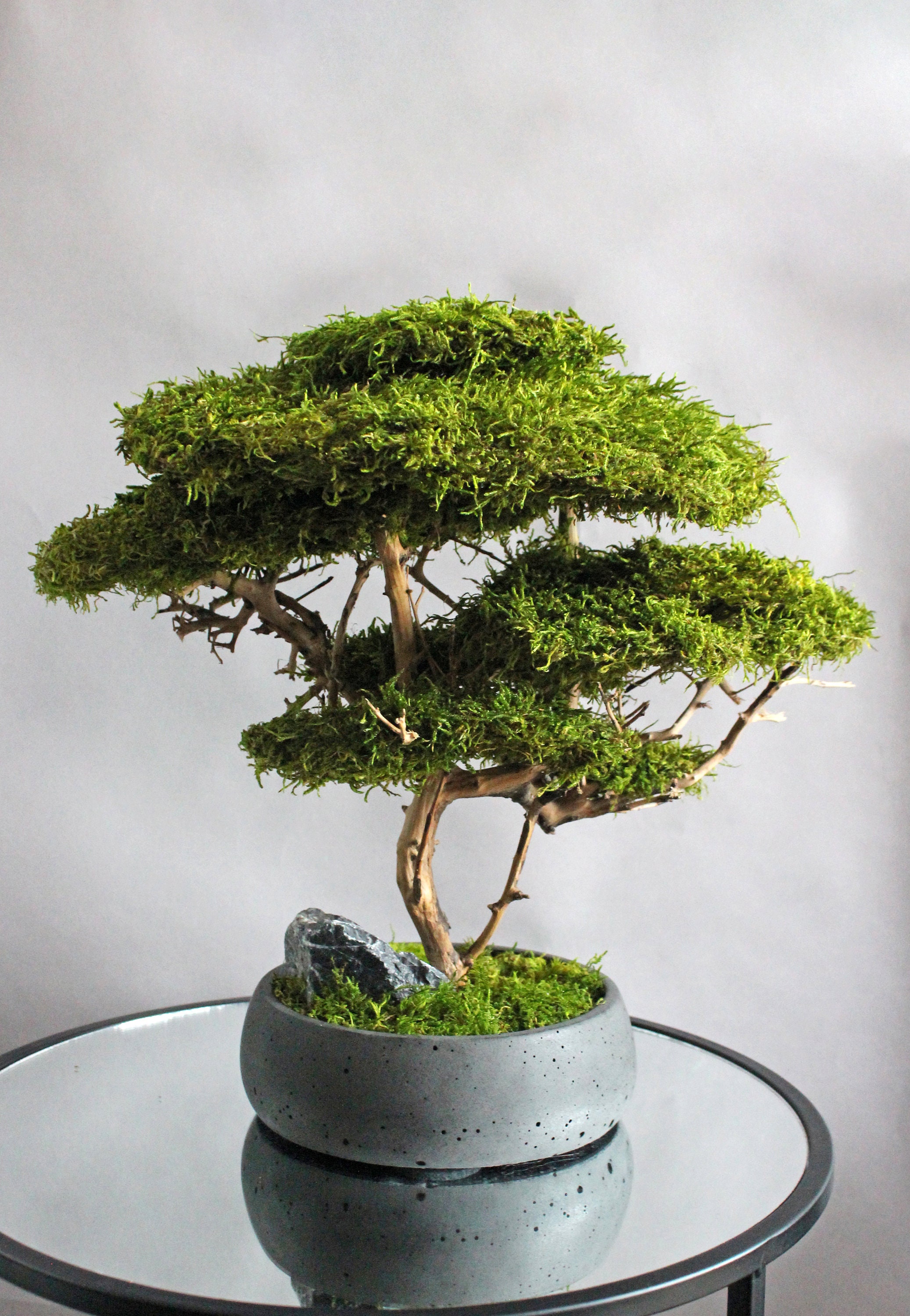 Natural Bonsai With Real Moss and Trunk - Etsy