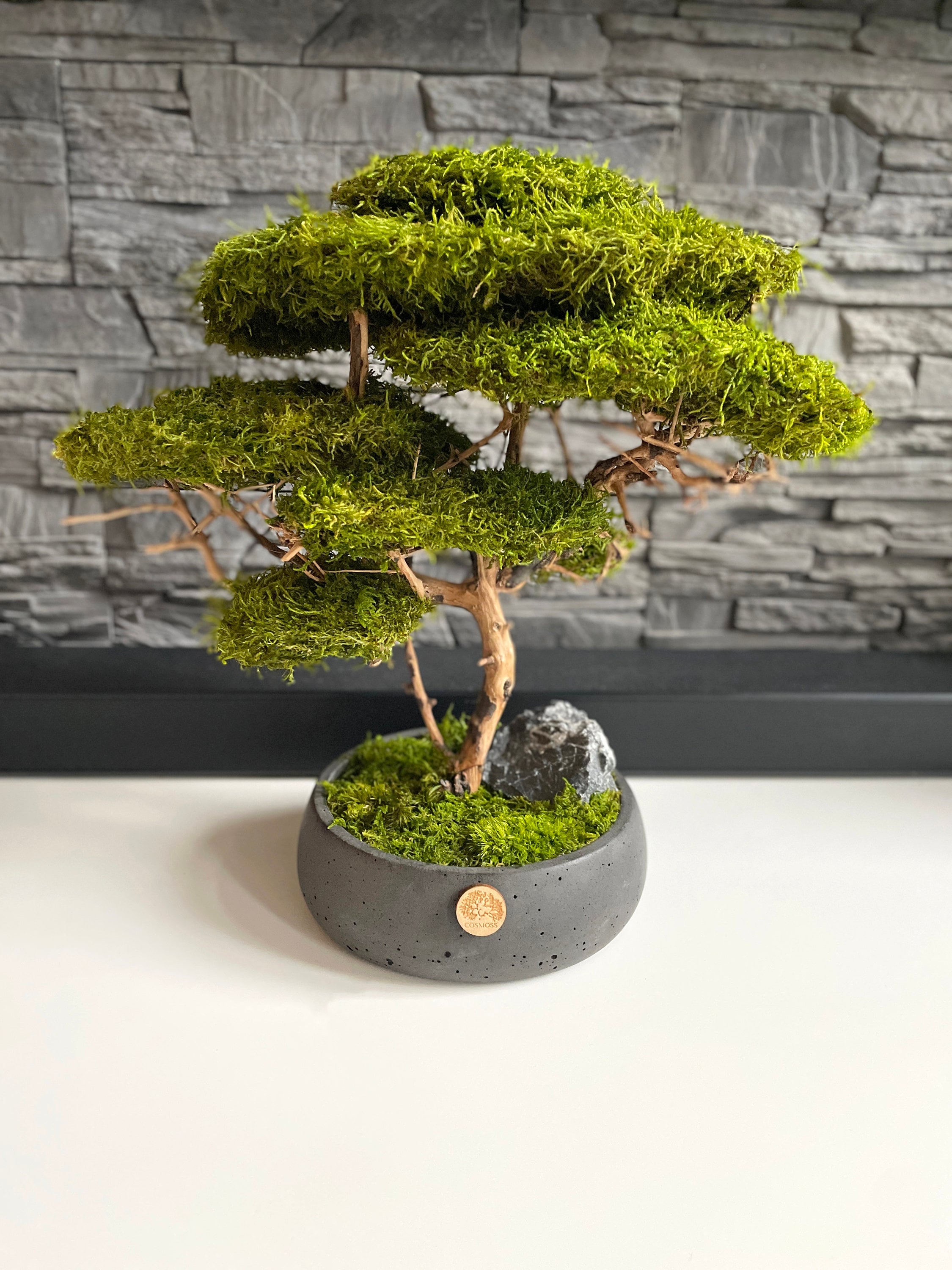 Natural Bonsai With Real Moss and Trunk - Etsy