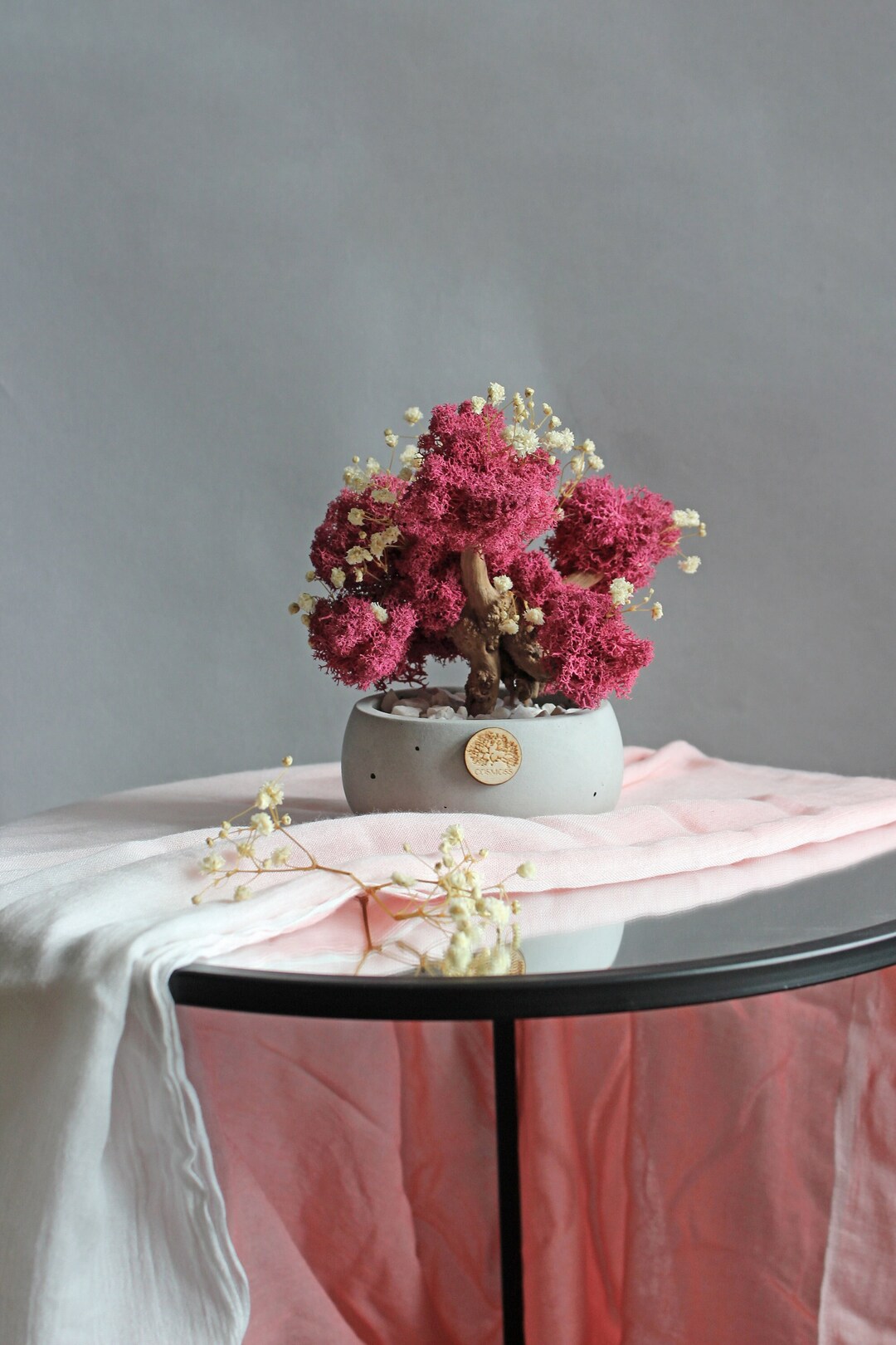 Fuchsia Moss Bonsai Tree in Small Pot - Etsy