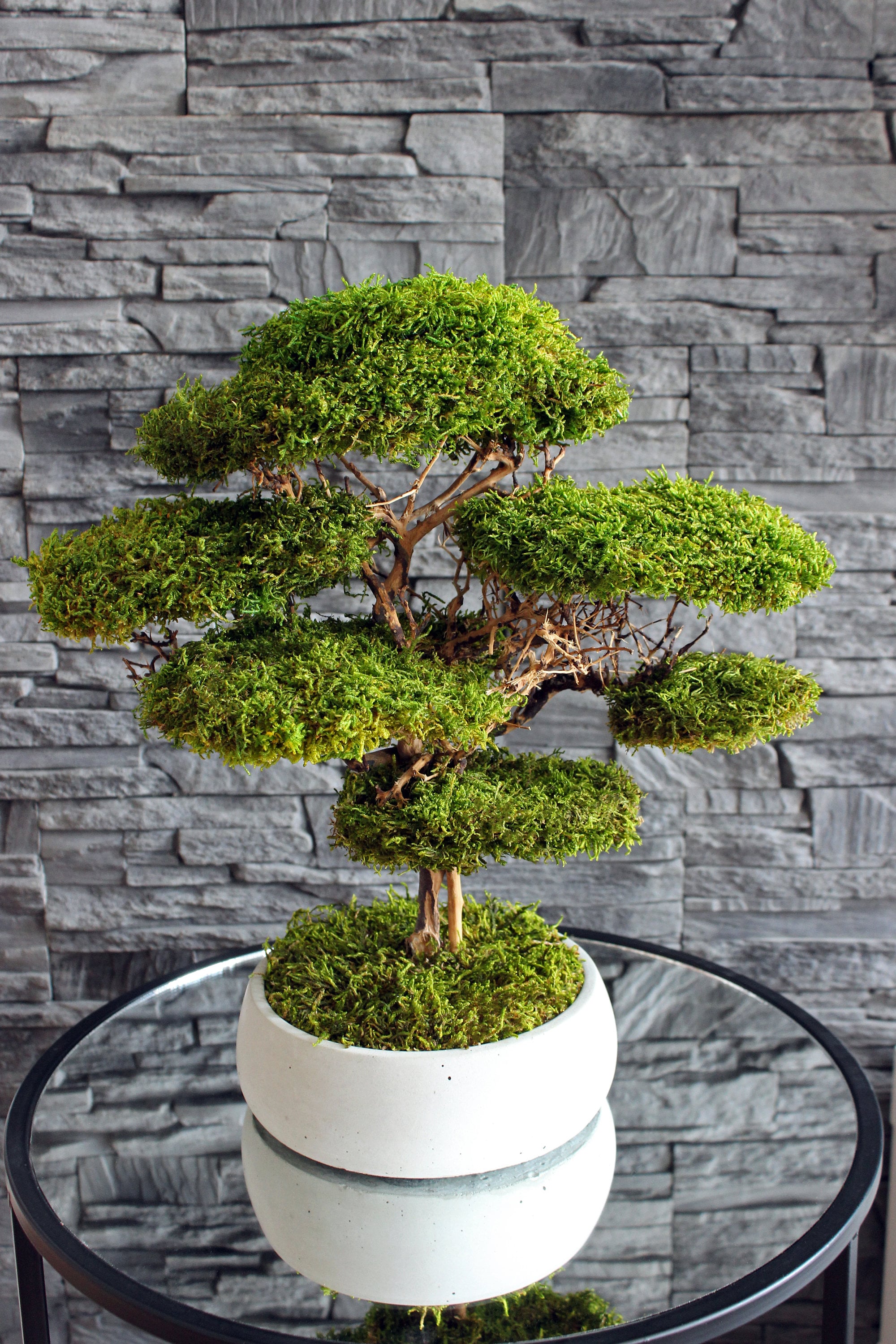 Artificial Bonsai Tree, Stabilized Moss and Driftwood Bonsai in ...