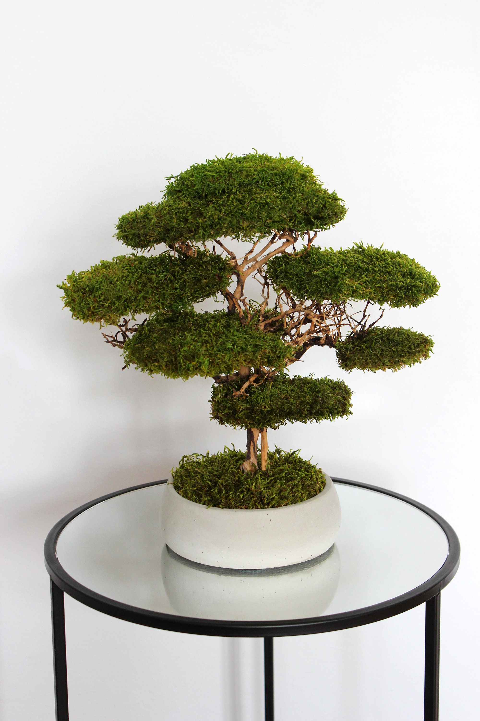 Artificial Bonsai Tree, Stabilized Moss and Driftwood Bonsai in ...