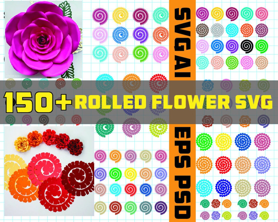 Rolled Flower Svg, Rolled Flower Template, Paper Flower, 3d Flower Svg ...