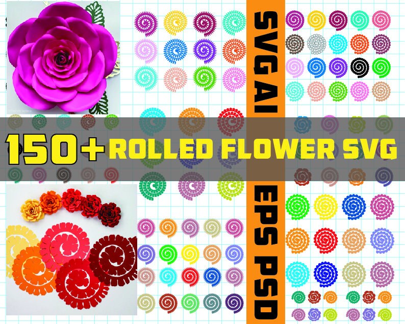 Rolled Flower Svg, Rolled Flower Template, Paper Flower, 3d Flower Svg ...