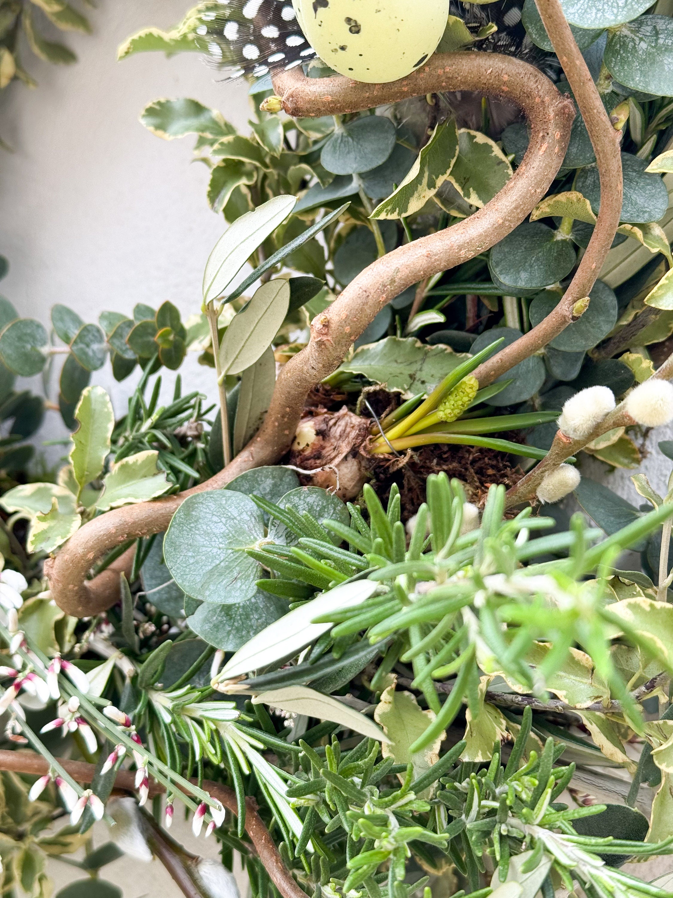 Spring/easter Wreath Kit DIY Wreath Kit Door Wreath Fresh Flowers Fresh ...