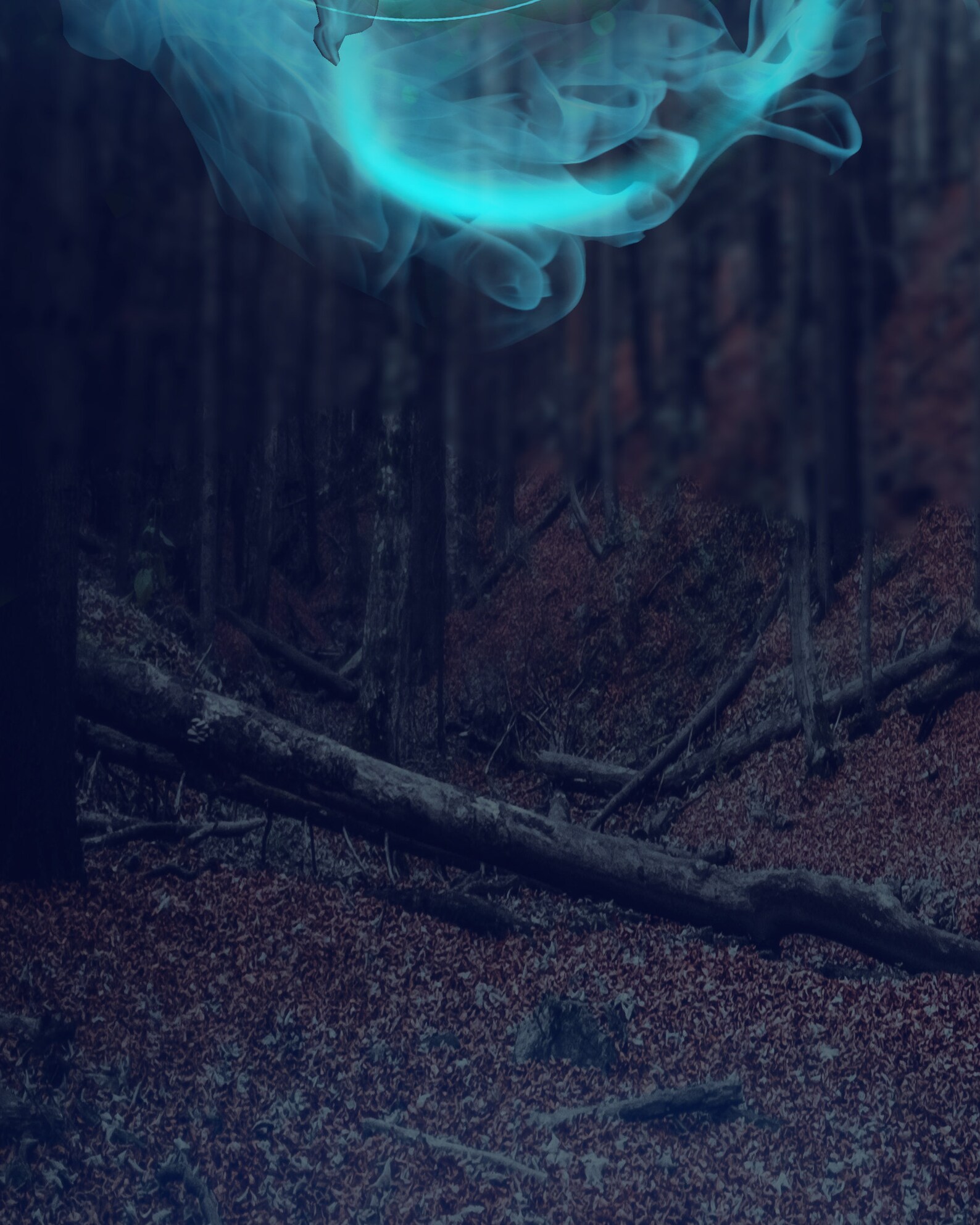 Magical Wizard Digital Background Wizard Backdrops Magic Backgrounds ...