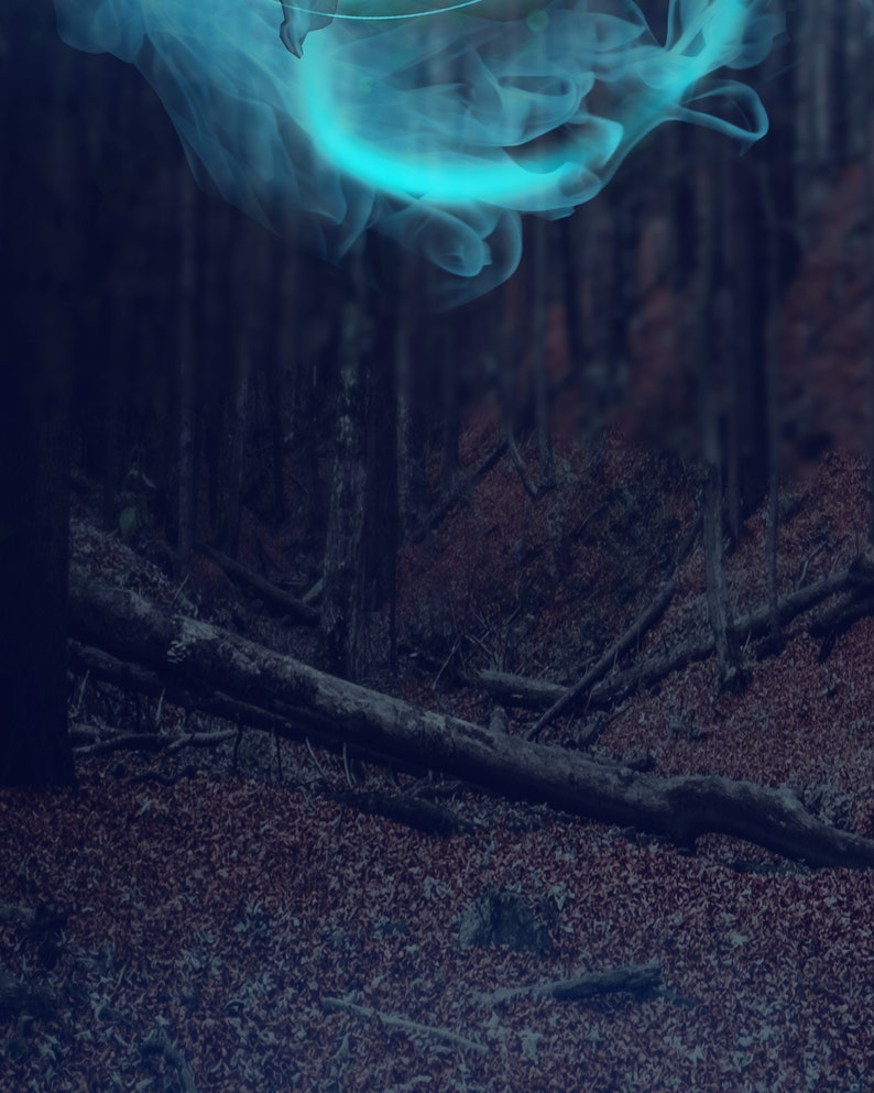 Magical Wizard Digital Background Wizard Backdrops Magic Backgrounds ...