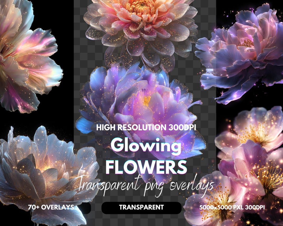 70+ Glowing Flowers PNG Overlays | Transparent Magical Floral Lights ...