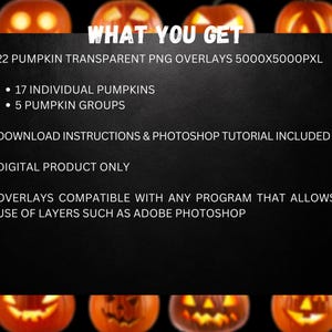 Realistic Pumpkin PNG Overlays: Fall Photo Editing (digital Download ...
