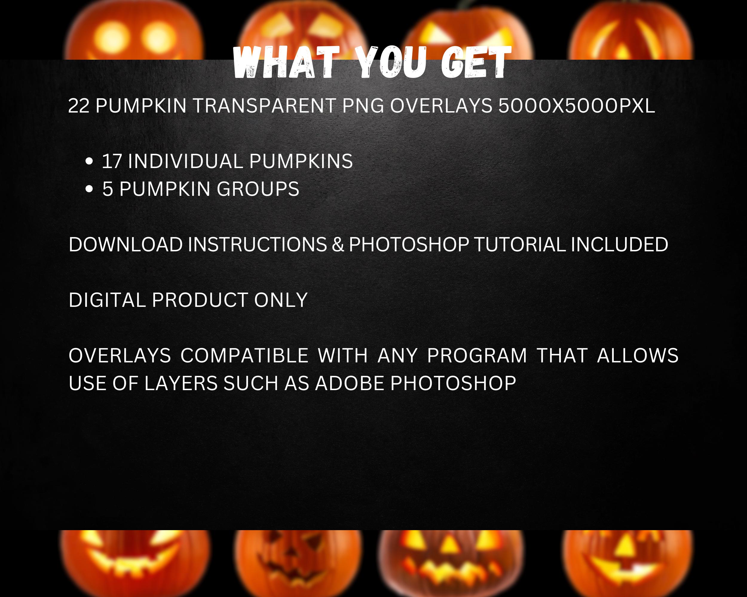 Realistic Pumpkin PNG Overlays: Fall Photo Editing (digital Download ...
