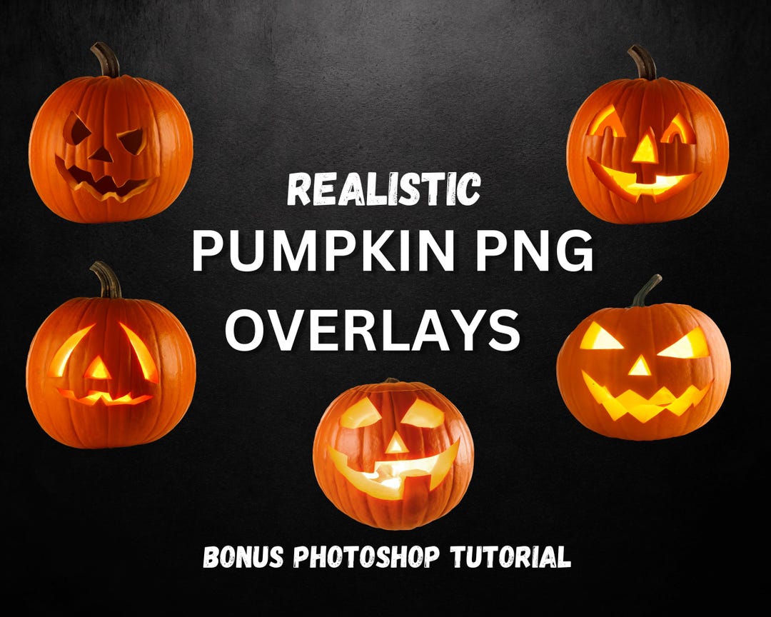 Realistic Pumpkin PNG Overlays: Fall Photo Editing (digital Download ...