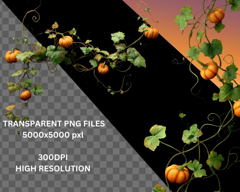 Autumn PNG Overlays: Fall Leaves, Pumpkin & Acorn Clipart (digital ...