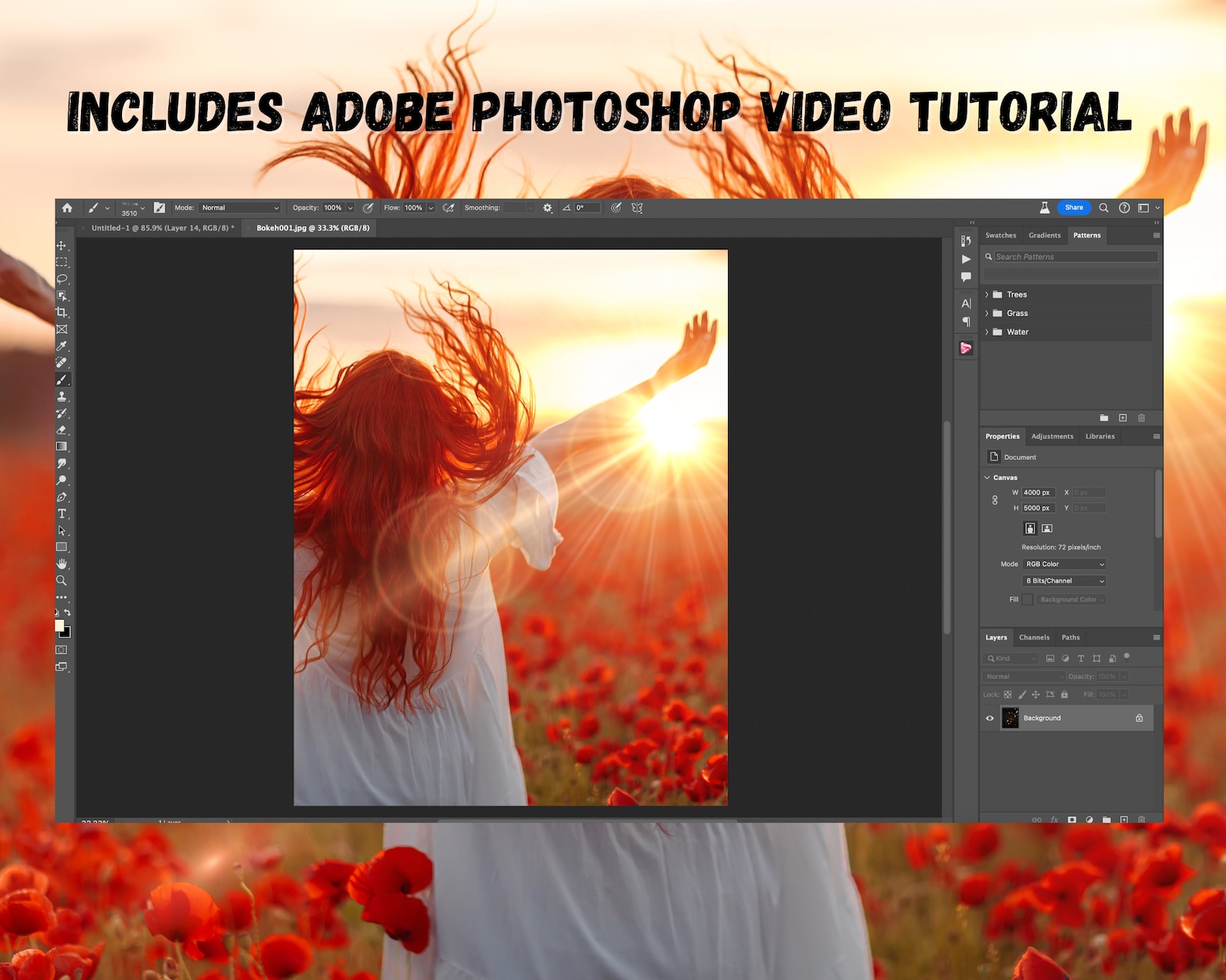 100+ Sun & Sunlight Photoshop Overlays: Realistic Light Effects ...