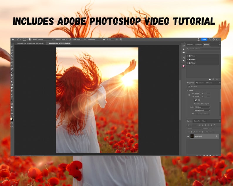 100+ Sun & Sunlight Photoshop Overlays: Realistic Light Effects ...