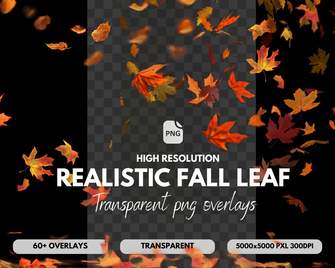 Autumn Leaves PNG Overlays: Falling Leaf Clipart (digital Download) - Etsy