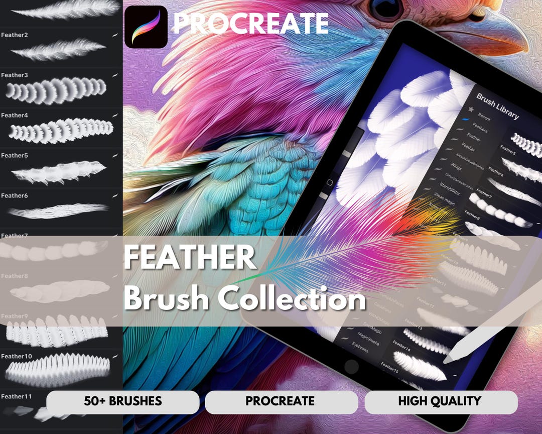 Procreate Feather Brushes: Angel, Bird, Fluffy (brushset) - Etsy