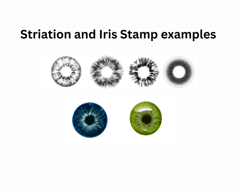100 Eye Brushes for Photoshop: Iris, Glare, and Realistic Effects ...