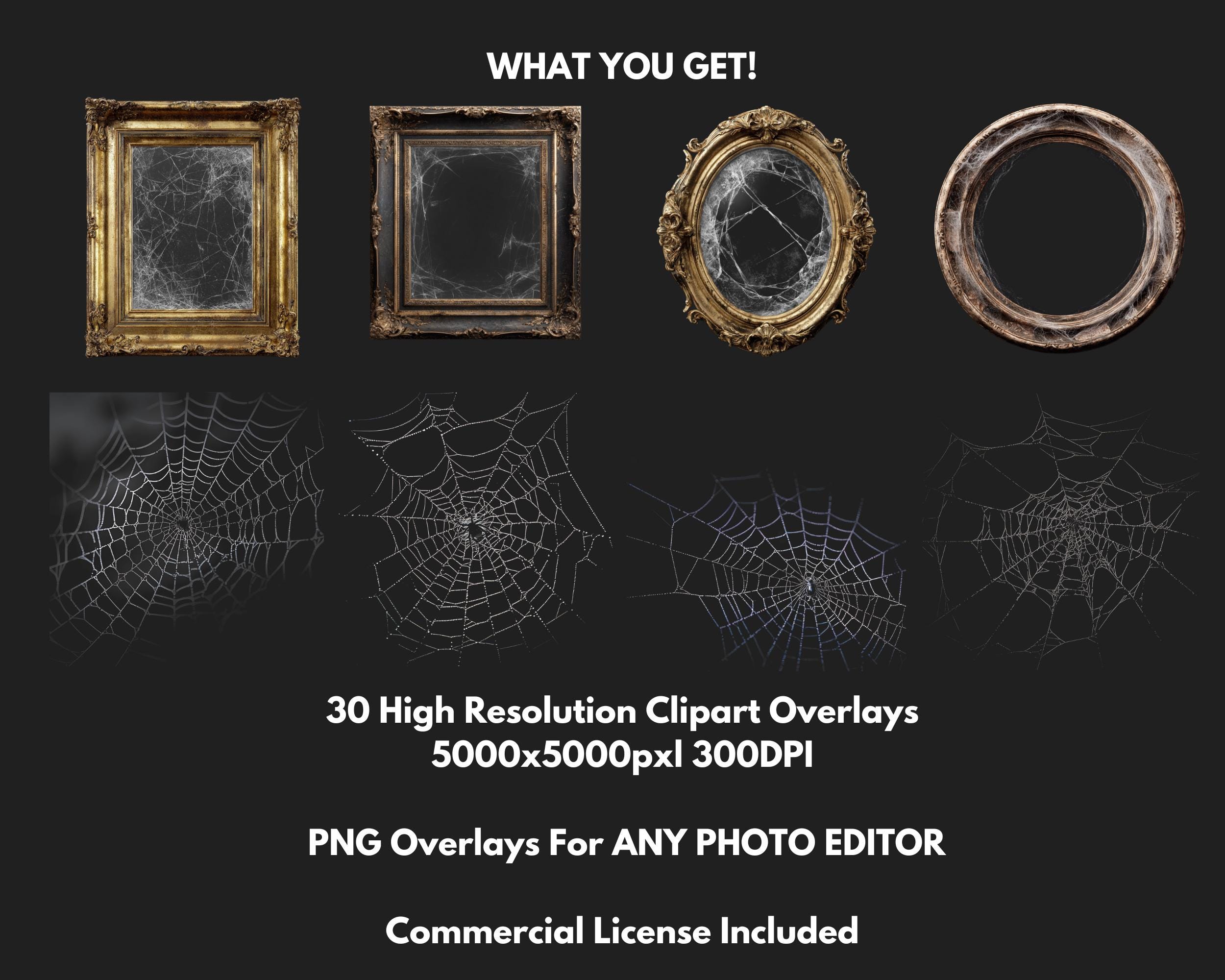Haunted Vintage Frame Clipart: Halloween Gothic Photo Overlays (PNG ...