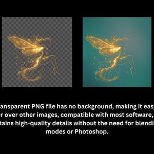 Fairytale Magic Overlays | Glitter PNG Clipart | Sparkle Fairy Wing ...