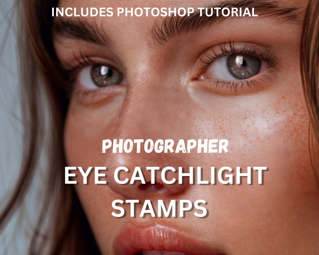 Catchlight Photoshop Brushes for Photographers, Catchlight Eye Brush ...