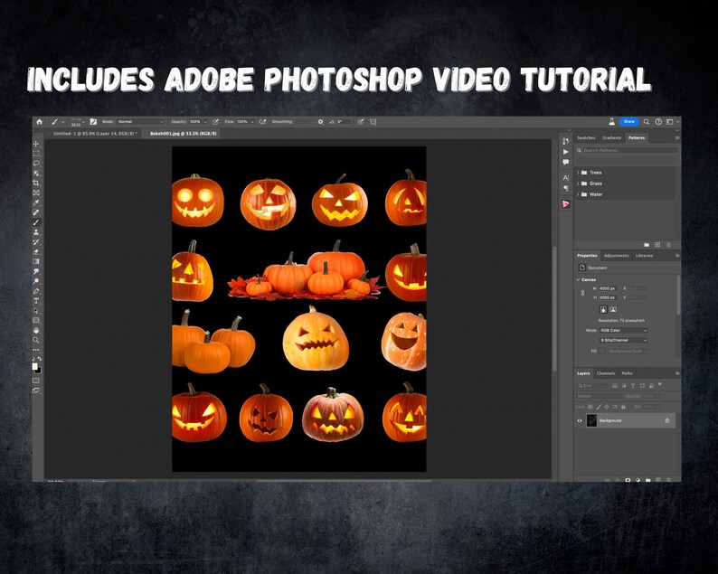 Realistic Pumpkin PNG Overlays: Fall Photo Editing (digital Download ...