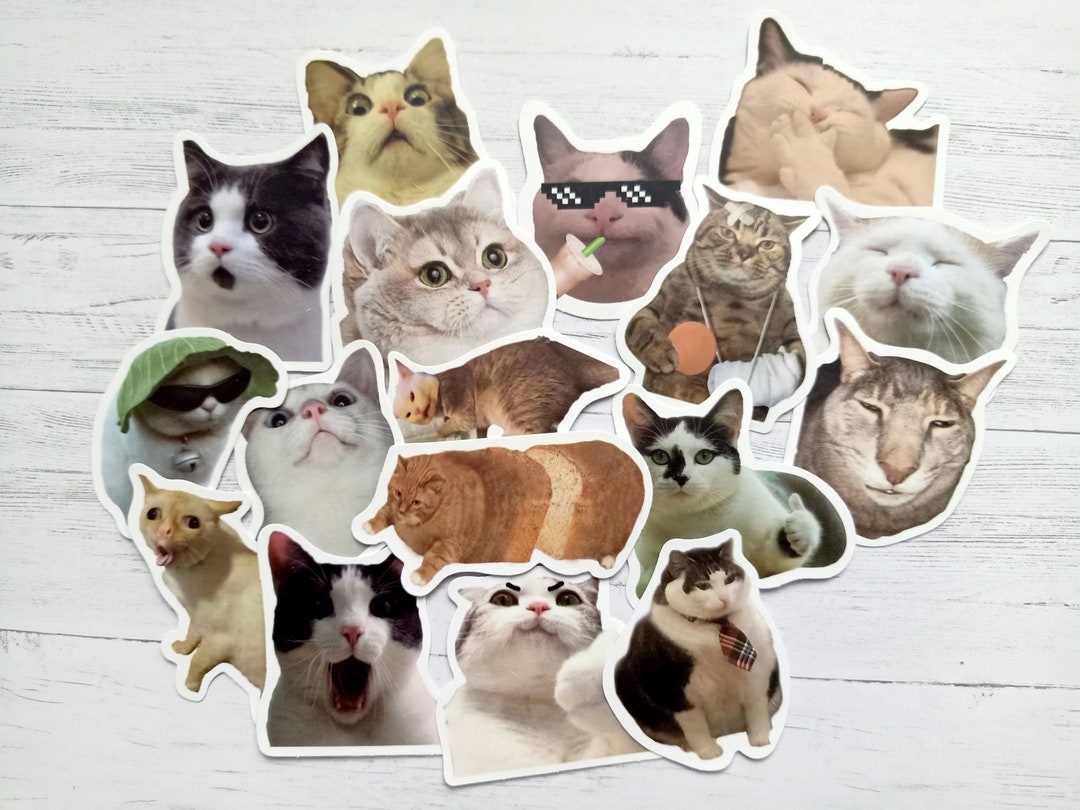 Funny Cats Sticker Pack, Cat Meme Stickers for Kindle Laptop Luggage ...