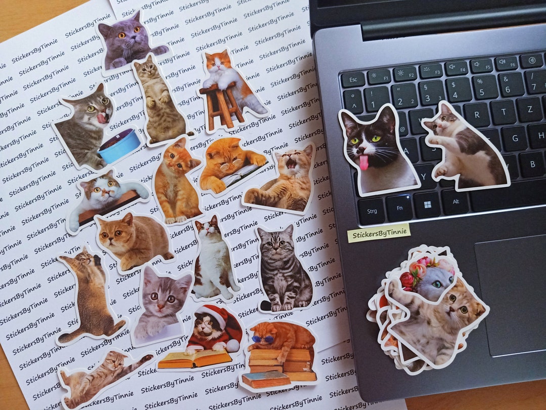Funny Cats Sticker Pack Cat Meme Stickers for Kindle Laptop - Etsy