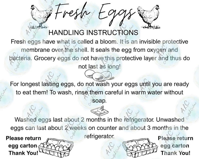Printable Fresh Eggs Handling Instructions - Etsy