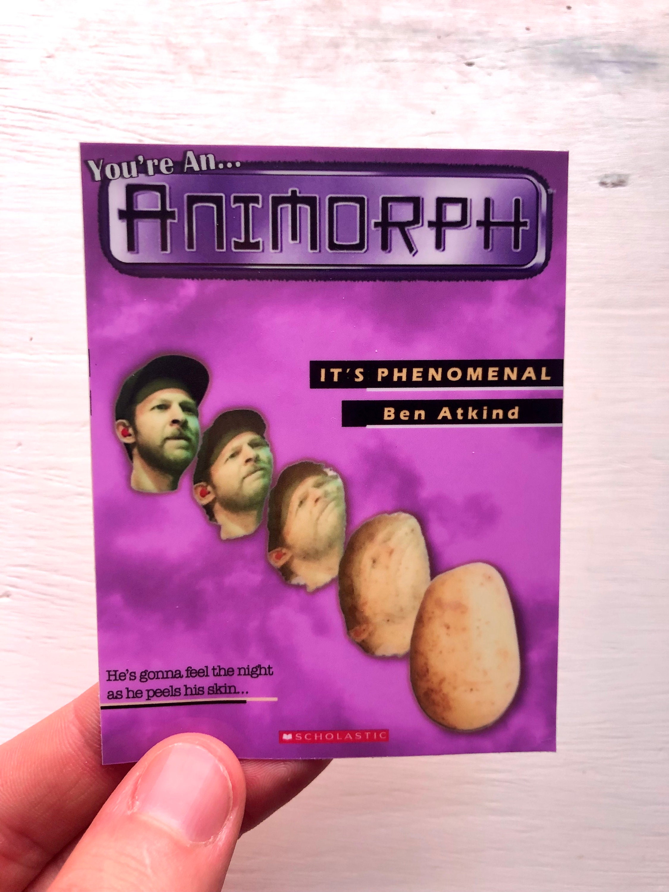 Animorphs Meme Potato