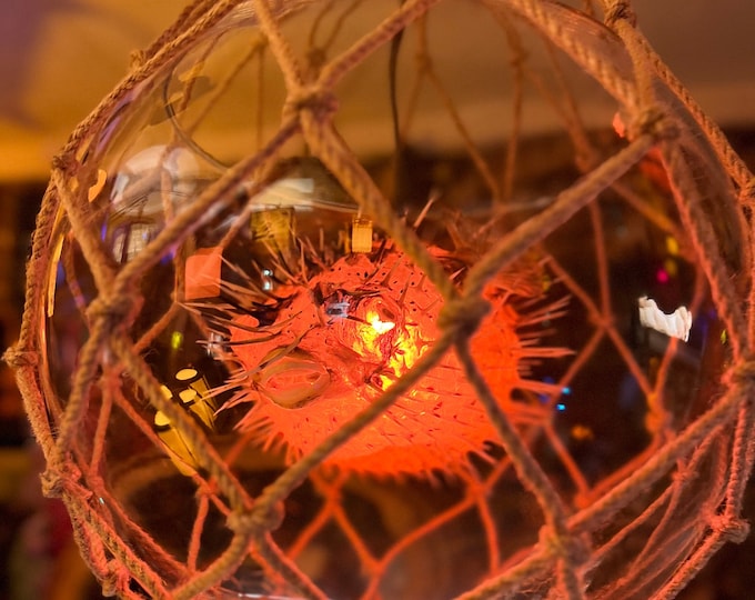 Tiki Lamp Puffer Fish in Float Glass Light Pendant Ceiling Decor Bar ...