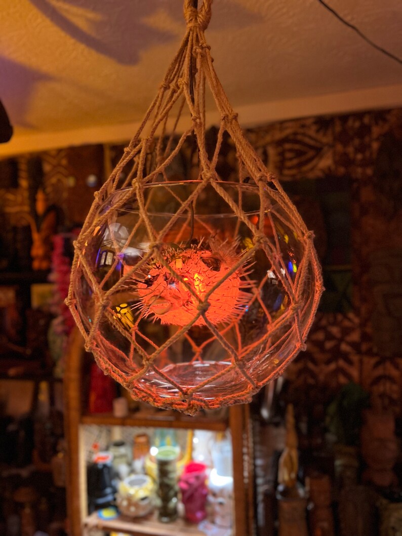 Tiki Lamp Puffer Fish in Float Glass Light Pendant Ceiling Decor Bar ...