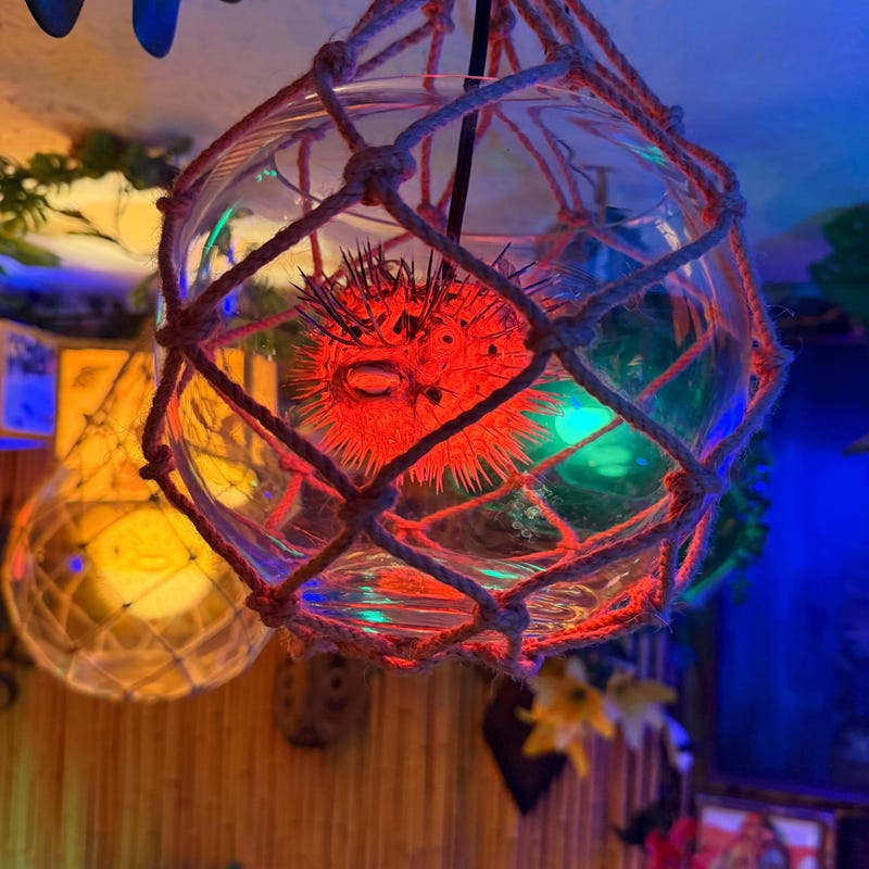 Lounge Pendant Lighting - Etsy