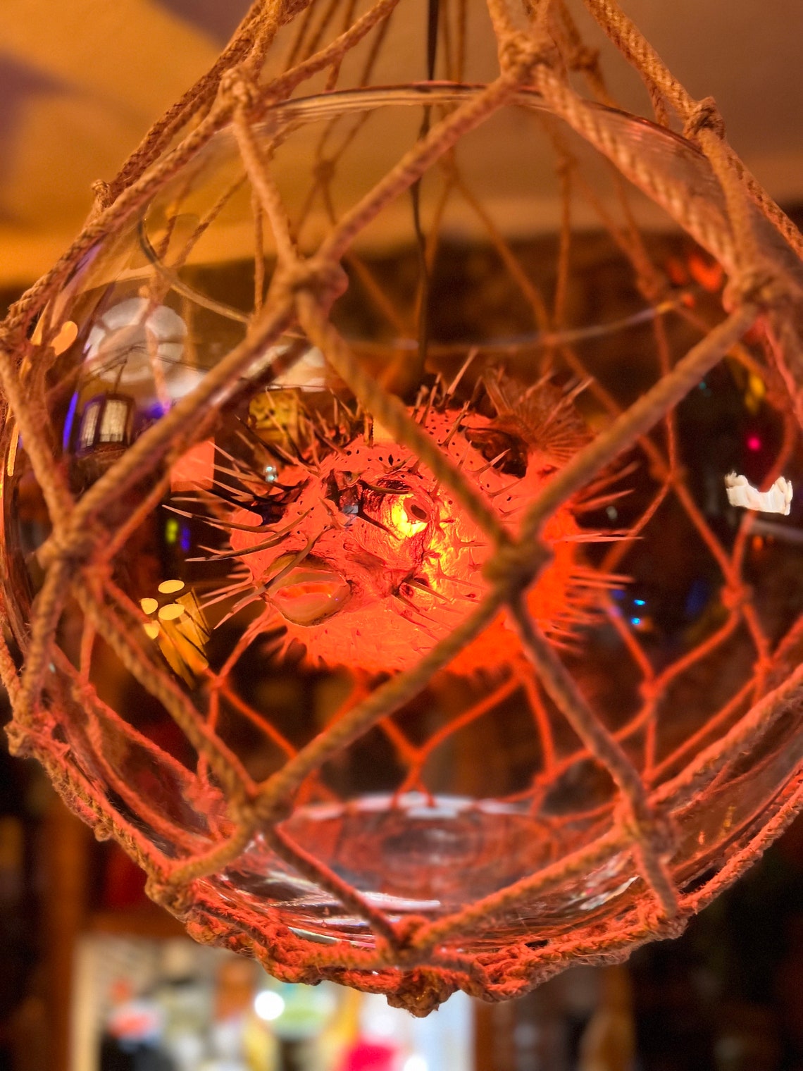 Tiki Lamp Puffer Fish in Float Glass Light Pendant Ceiling Decor Bar ...