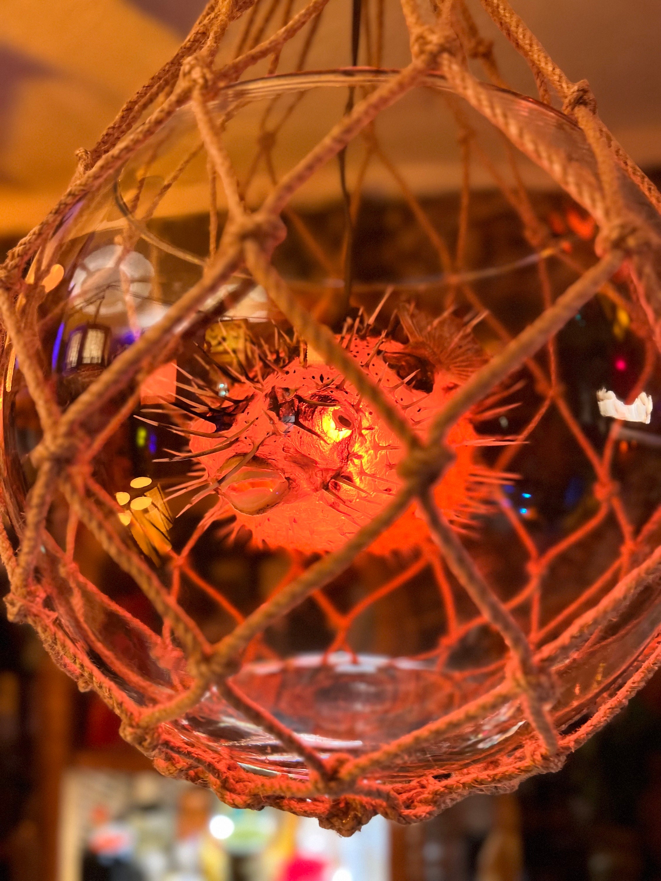 Tiki Lamp Puffer Fish in Float Glass Light Pendant Ceiling Decor Bar ...