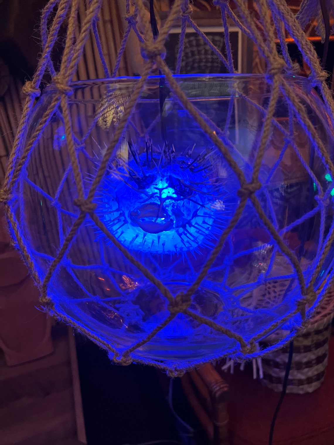 Tiki Lamp Puffer Fish in Float Glass Light Pendant Ceiling Decor Bar ...