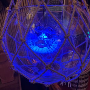 Tiki Lamp Puffer Fish in Float Glass Light Pendant Ceiling Decor Bar ...