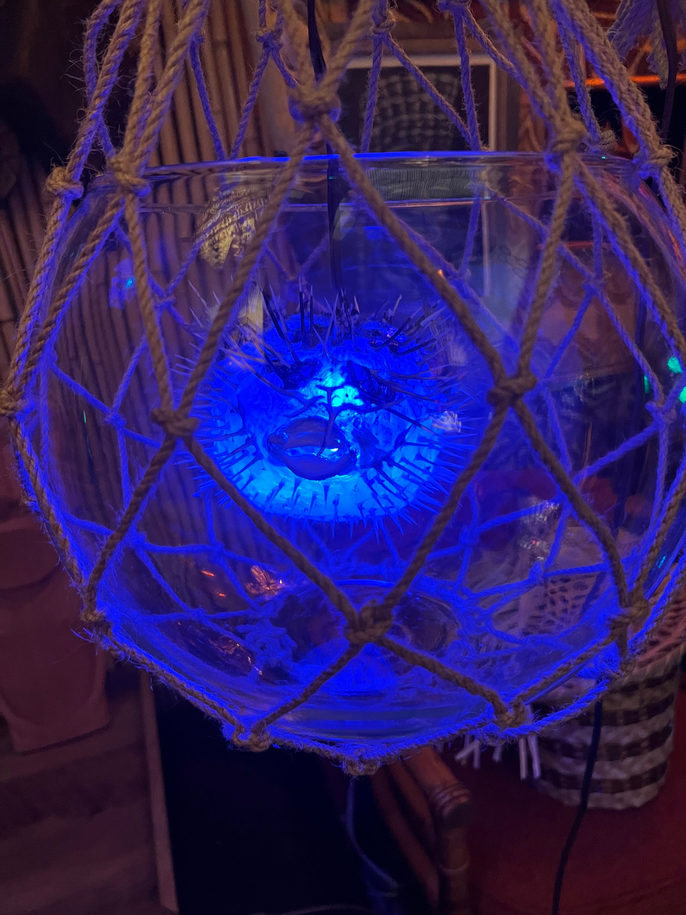 Tiki Lamp Puffer Fish in Float Glass Light Pendant Ceiling Decor Bar ...